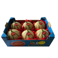 Melons Bernard Chiron - le meilleur melon tout au long de l’année